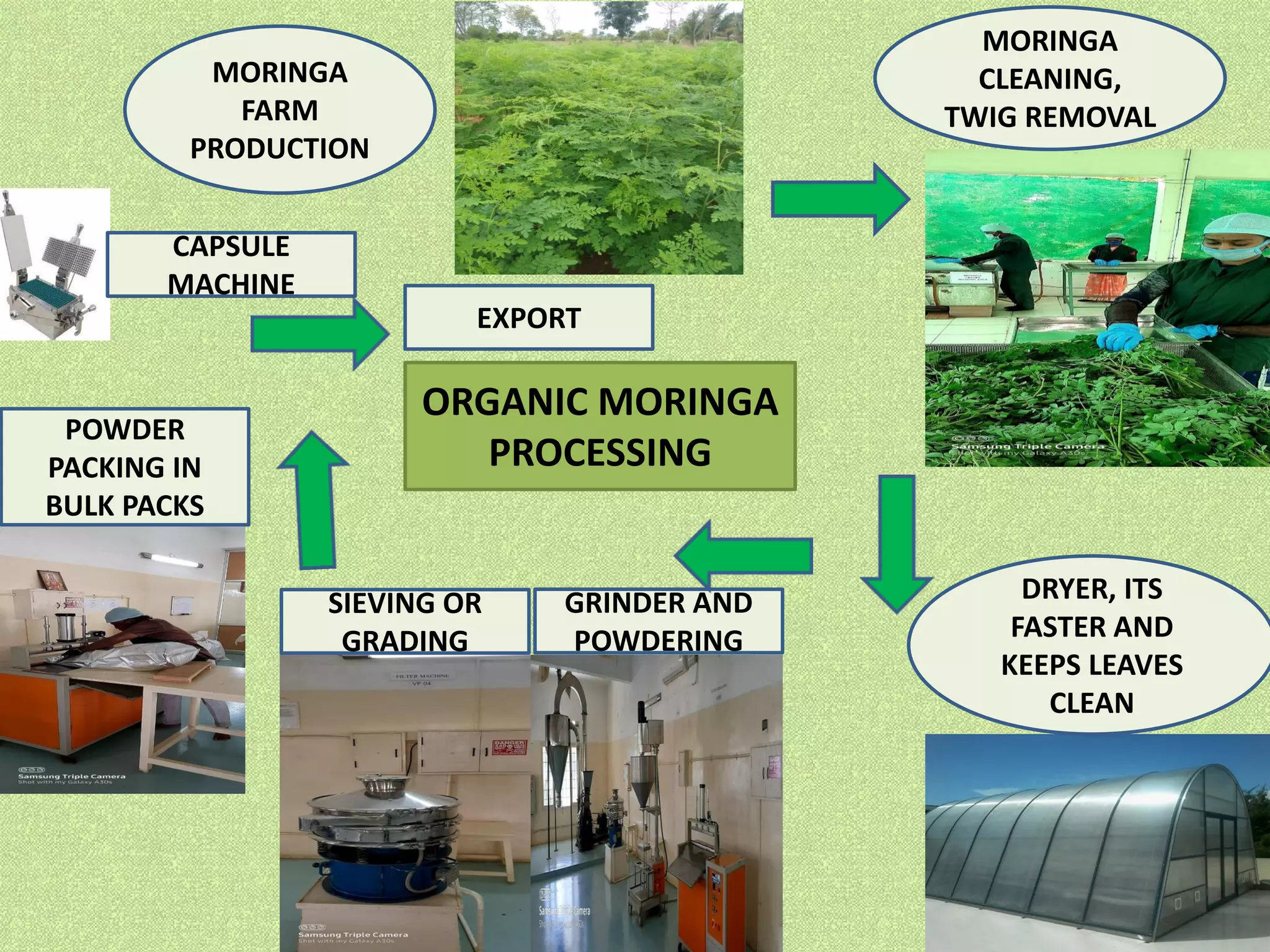 ORGANIC MORINGA PRODUCTION PROCESSING.pdf