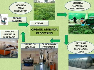 ORGANIC MORINGA PRODUCTION PROCESSING.pdf