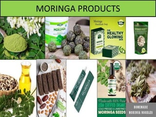 ORGANIC MORINGA PRODUCTION PROCESSING.pdf