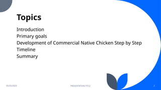 Organic Native Chicken presentations 2025.pptx