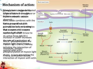 Organic nitrates - pharmacology | PPTX
