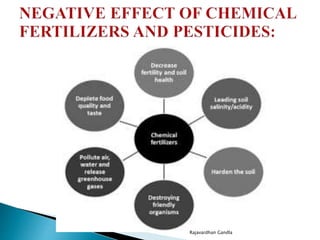 ORGANIC PEST, NEGATIVE EFFECT OF CHEMICAL FERTILIZERS AND PESTICIDES by ...
