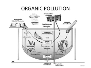 Organic pollution | PPTX