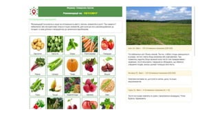 Organic portal | PPTX