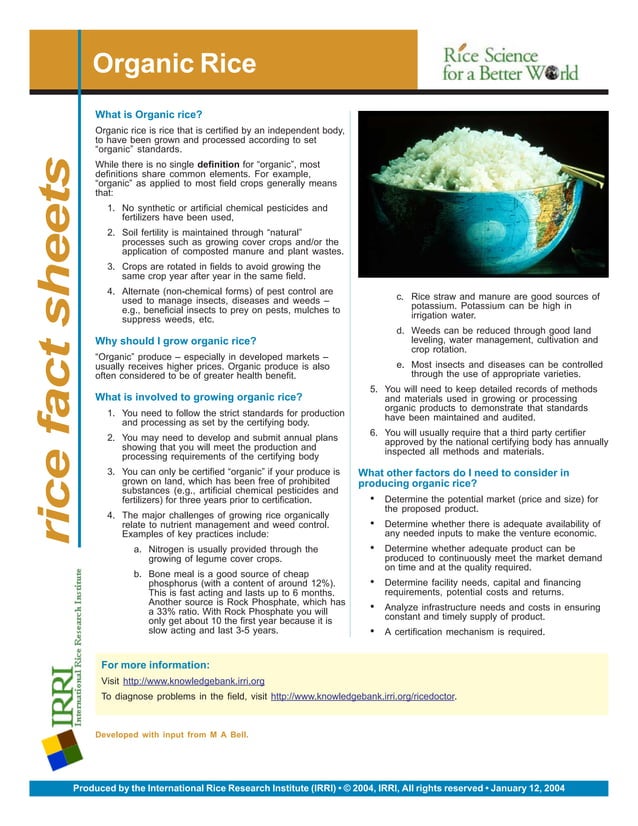 Organic rice | PDF