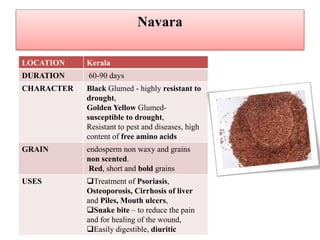 Traditional Rice Land Races for Organic Farming in India | PPTX