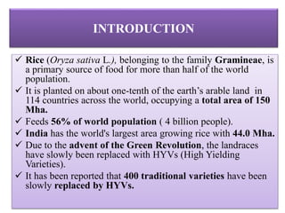 Traditional Rice Land Races for Organic Farming in India | PPTX