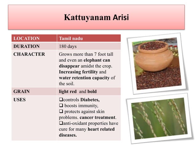 Traditional Rice Land Races for Organic Farming in India | PPTX ...