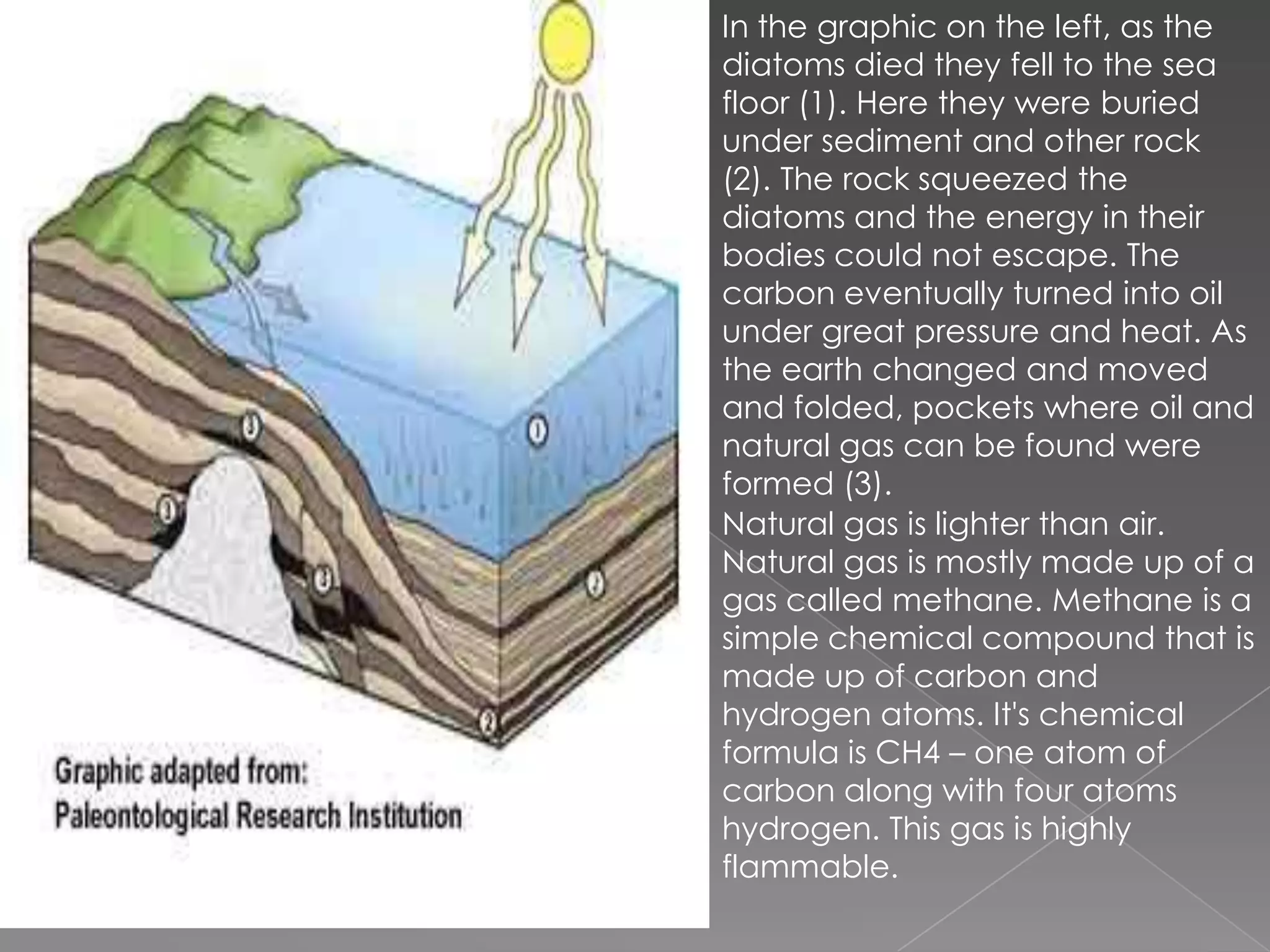 Organic rocks and fossil fuels | PPTX