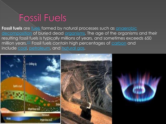 Organic rocks and fossil fuels | PPT