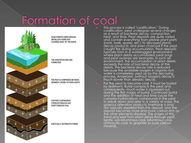 Organic rocks and fossil fuels | PPT