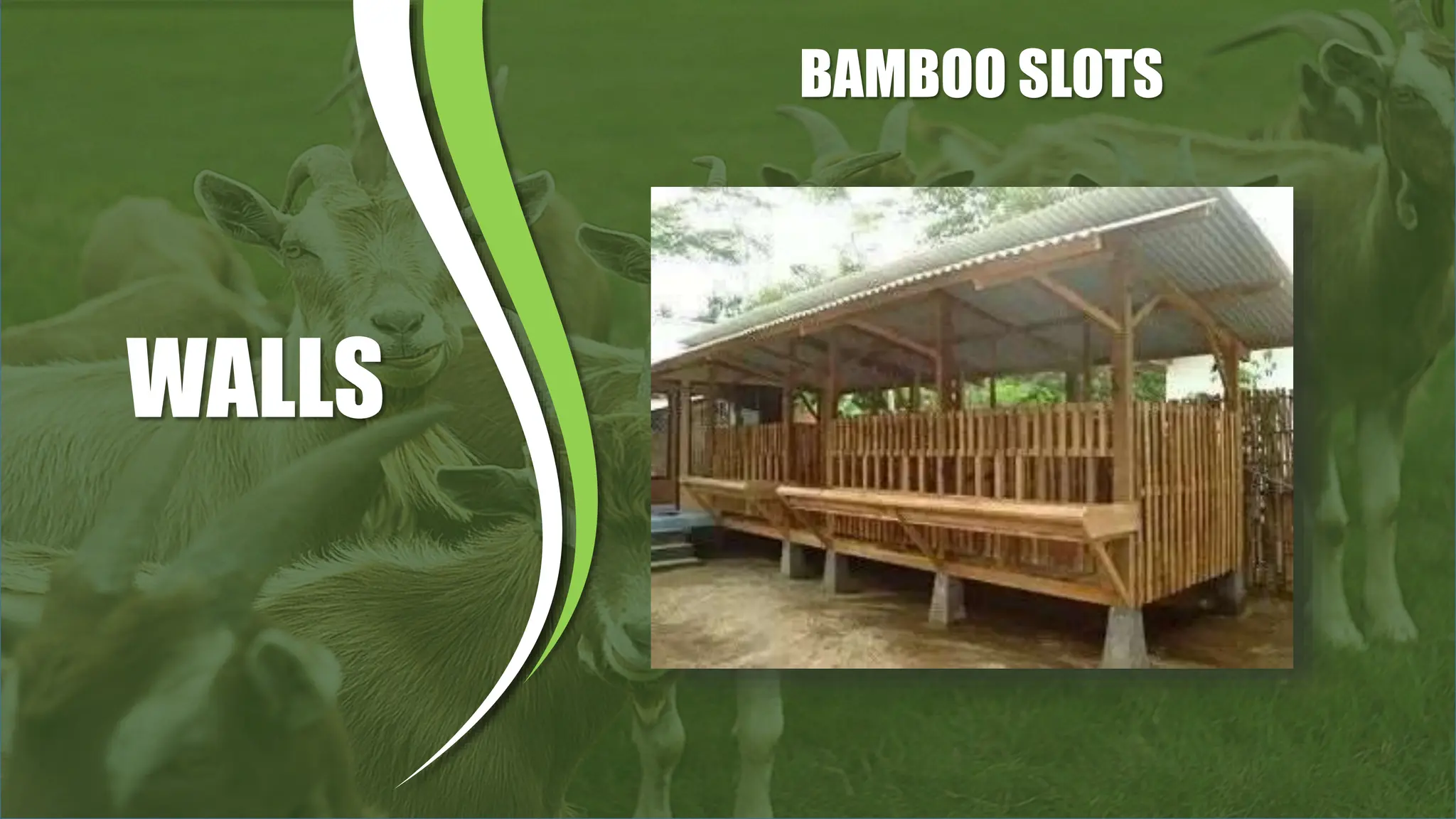 RAISING ORGANIC SMALL RUMINANTS AND BREEDING | PPTX