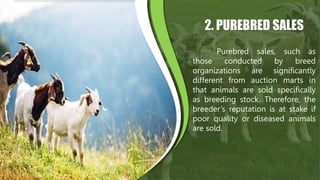 RAISING ORGANIC SMALL RUMINANTS AND BREEDING | PPTX