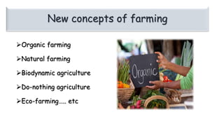 Problems involved in Organic vegetable production | PPTX