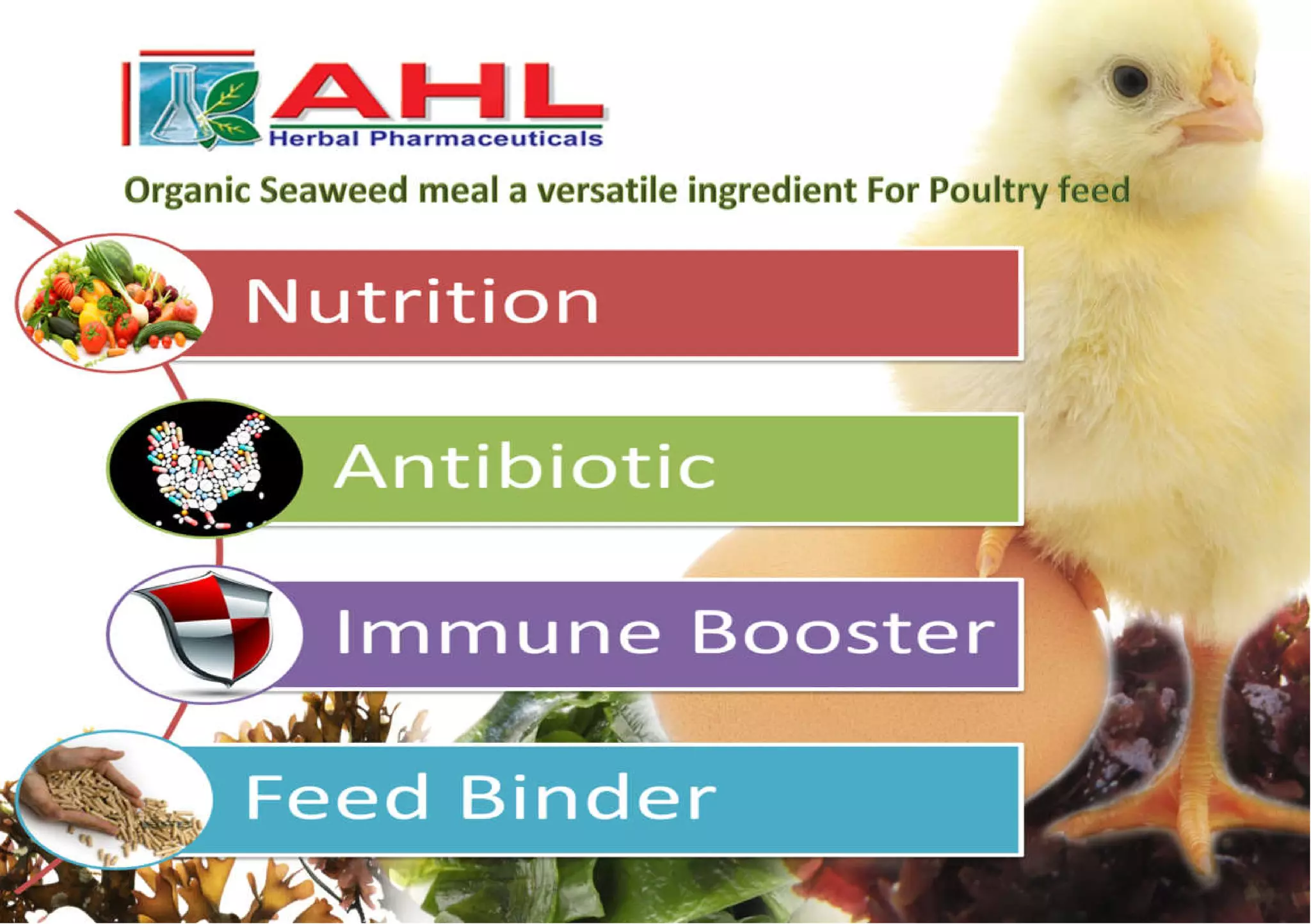 Organic seaweed poultry feed brochure 2017 | PDF | Nutrition | Healthy ...