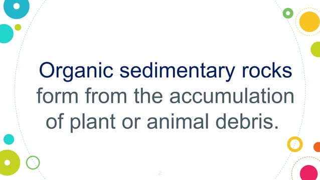 How are Organic Sedimentary Rocks formed? | PPT