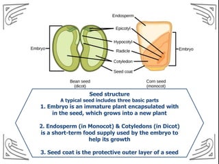 Organic Seed production, Seed certification by Dr Nation Chamling.pdf