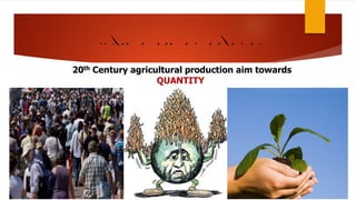 Organic seed production systems for field legumes and lowland ...