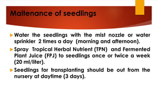 Organic seed production systems for field legumes and lowland ...