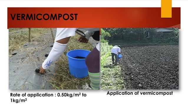 Organic seed production systems for field legumes and lowland ...