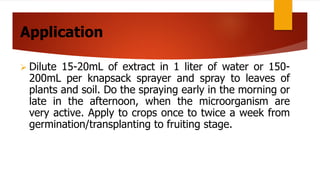 Organic seed production systems for field legumes and lowland ...