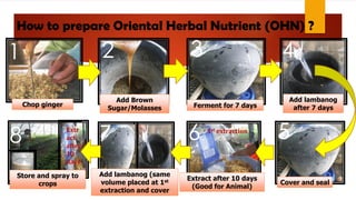 Organic seed production systems for field legumes and lowland ...