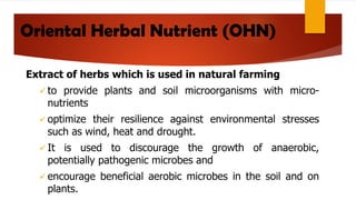 Organic seed production systems for field legumes and lowland ...