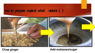 Organic seed production systems for field legumes and lowland ...
