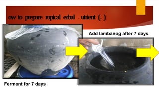 Organic seed production systems for field legumes and lowland ...
