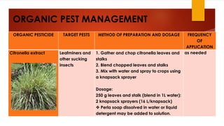 Organic seed production systems for field legumes and lowland ...