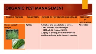 Organic seed production systems for field legumes and lowland ...