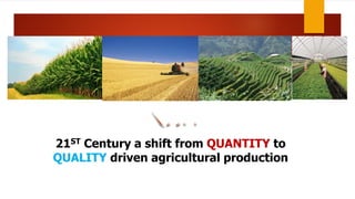 Organic seed production systems for field legumes and lowland ...