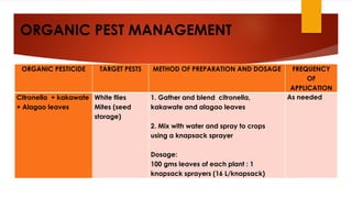 Organic seed production systems for field legumes and lowland ...