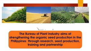 Organic seed production systems for field legumes and lowland ...