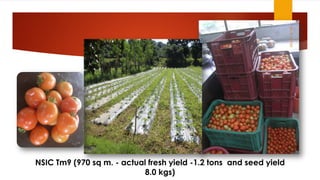 Organic seed production systems for field legumes and lowland ...