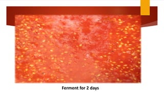 Organic seed production systems for field legumes and lowland ...