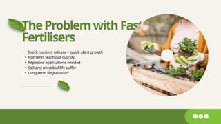 Organic Slow Release Fertiliser — Smarter Nutrition for Healthier Soil.pptx