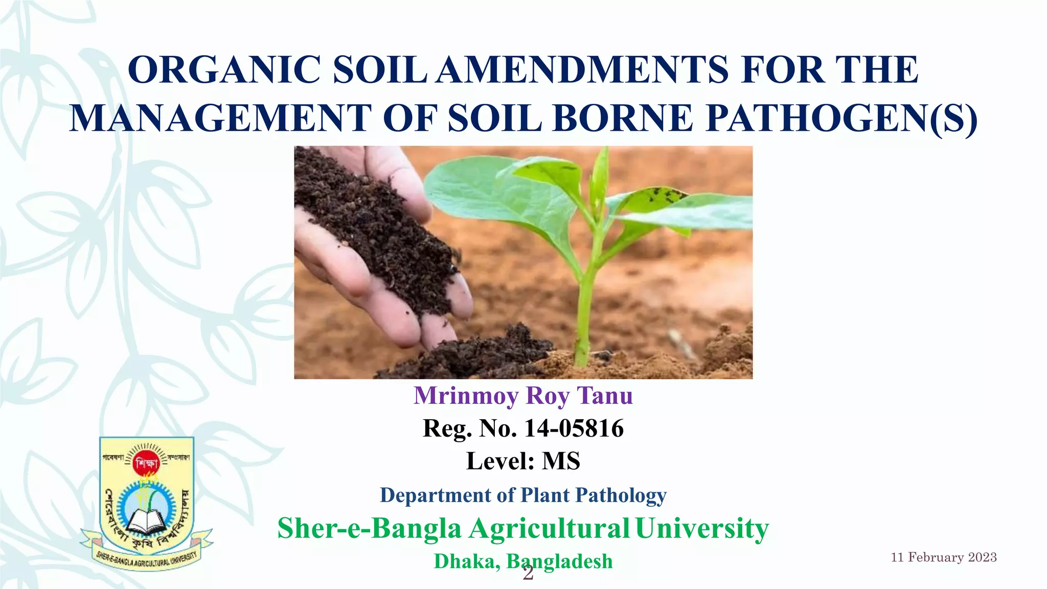ORGANIC SOIL AMENDMENTS FOR THE MANAGEMENT OF SOIL BORNE PATHOGEN(S ...