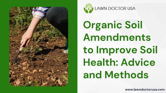 Organic Soil Amendments to Improve Soil Health Advice and Methods.pdf ...