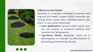 Organic Soil Amendments to Improve Soil Health Advice and Methods.pdf