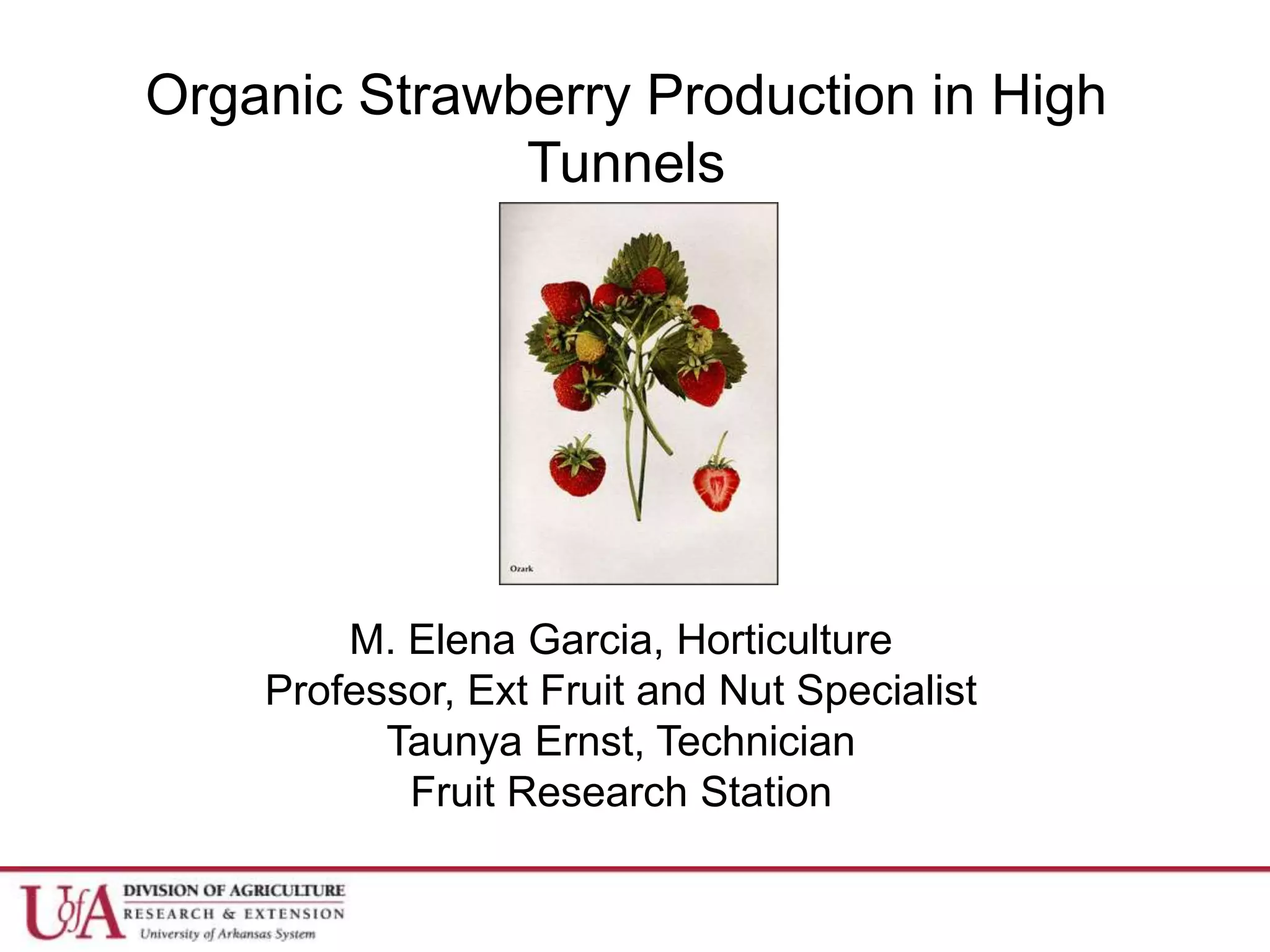 Organic Strawberry Production in High Tunnels | PDF
