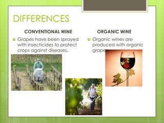 Organic wine | PPTX