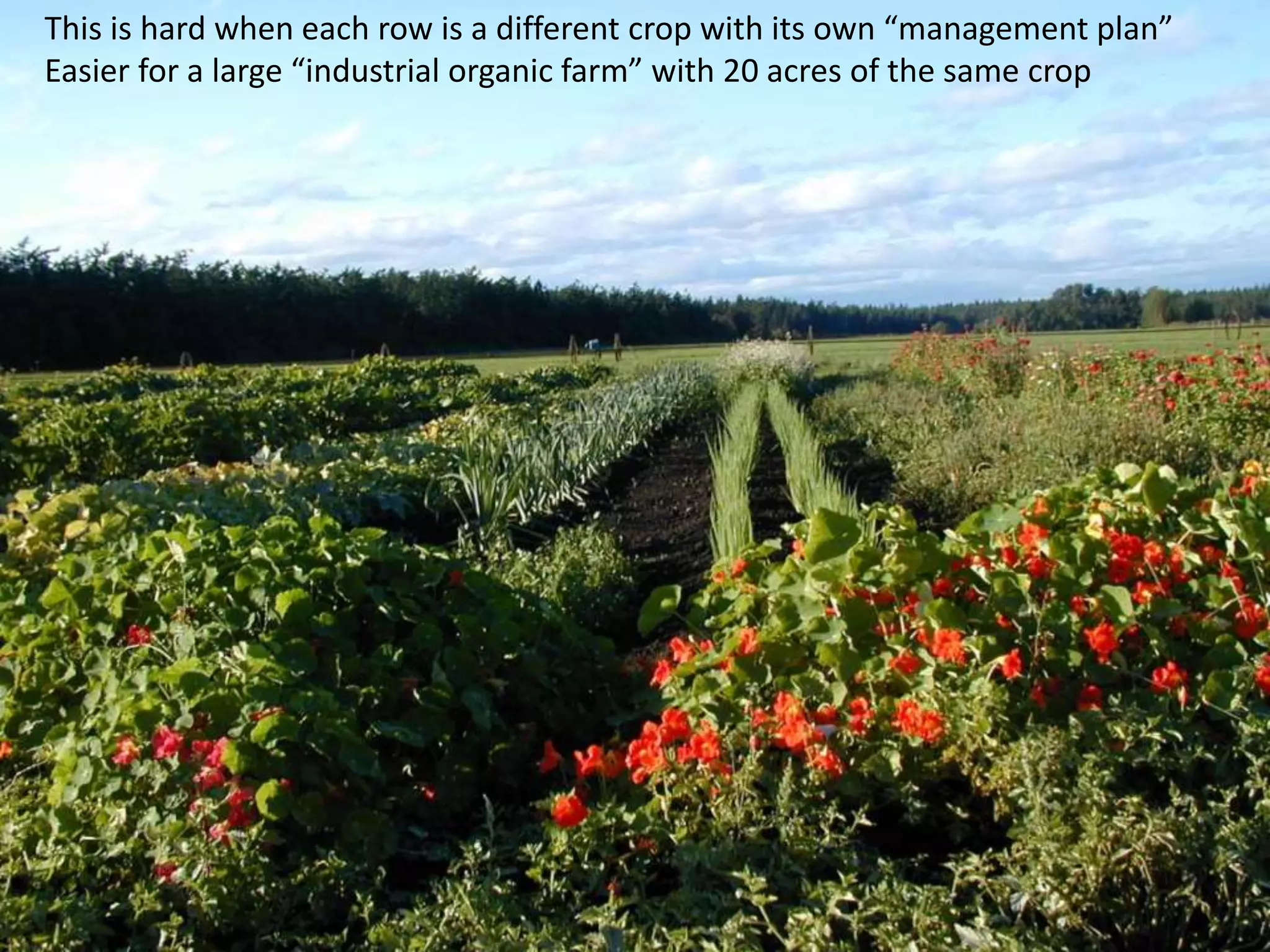 Organic vs conventional agriculture | PPTX