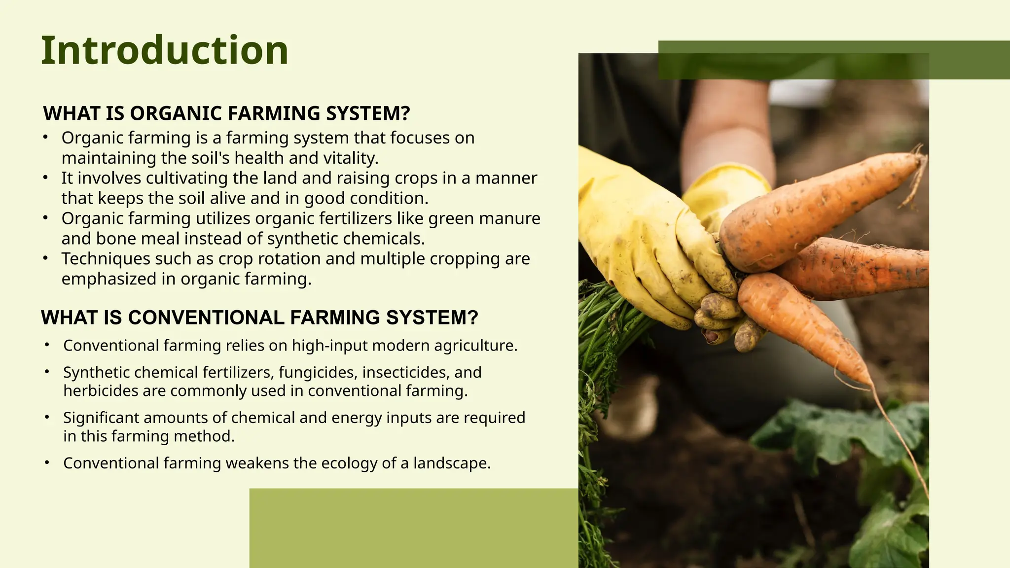 organic farming vs conventional farming.pptx