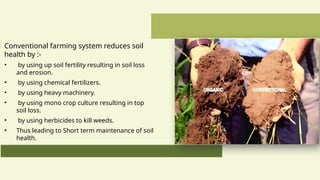 organic farming vs conventional farming.pptx