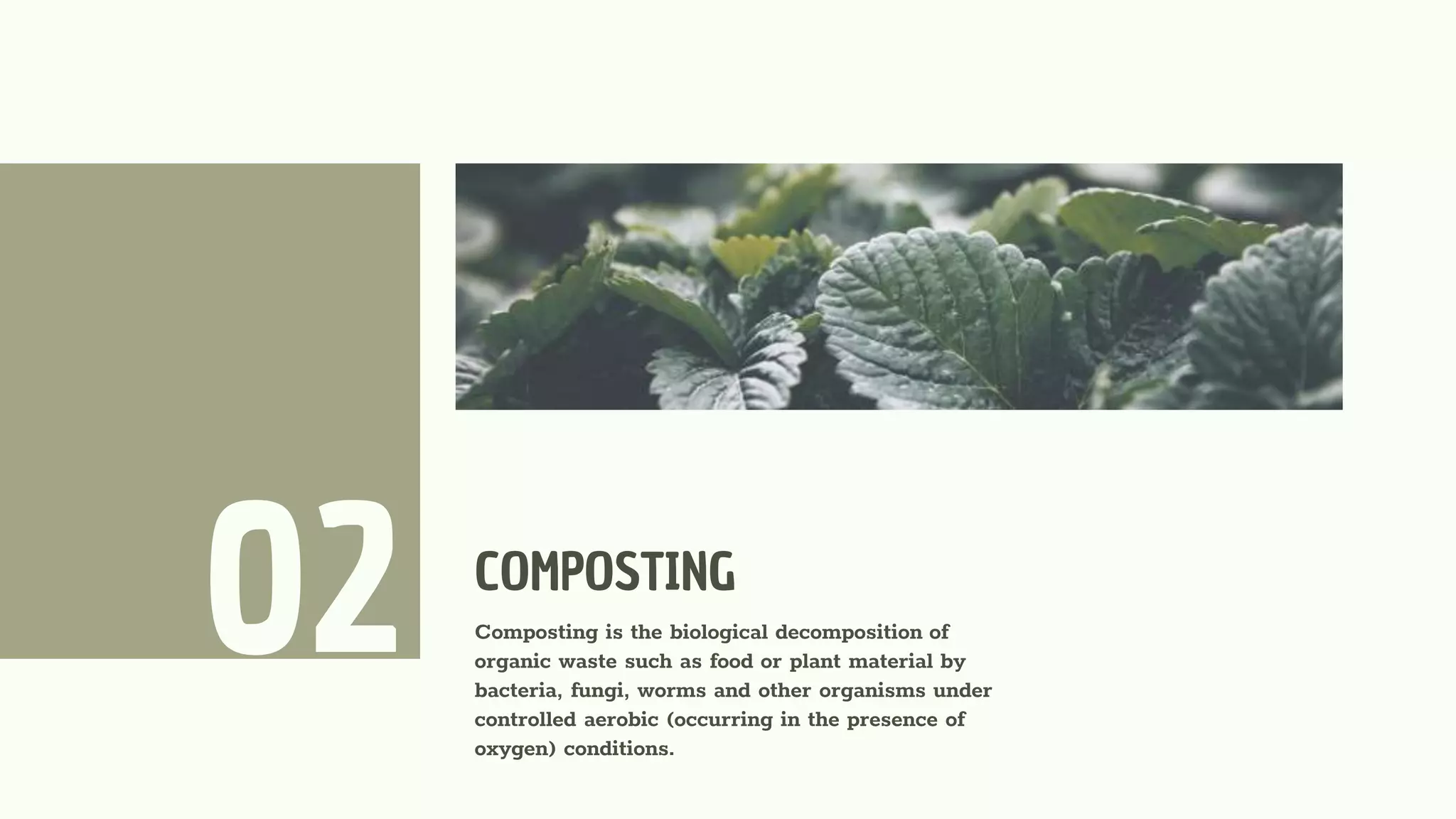 Organic waste management | PPTX