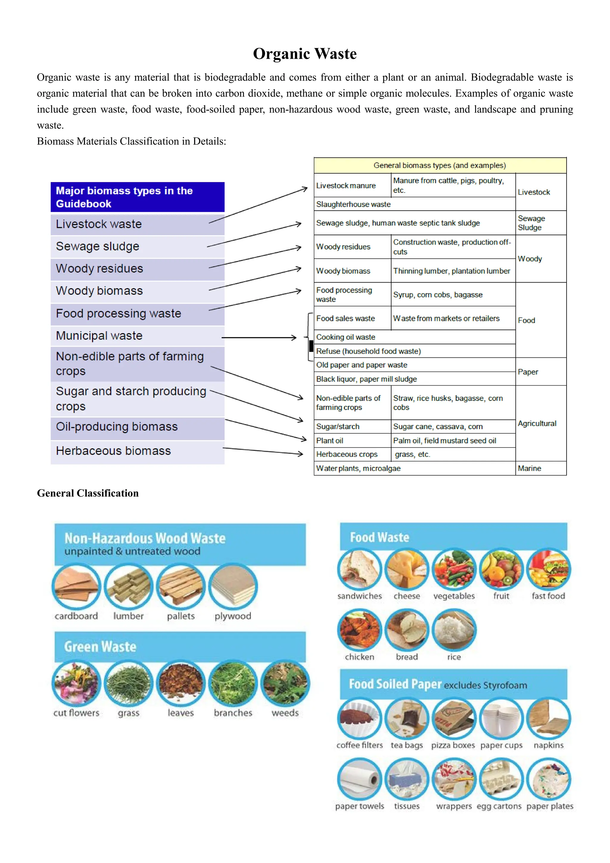 Organic Waste Recycling Plant and Biochar production | PDF