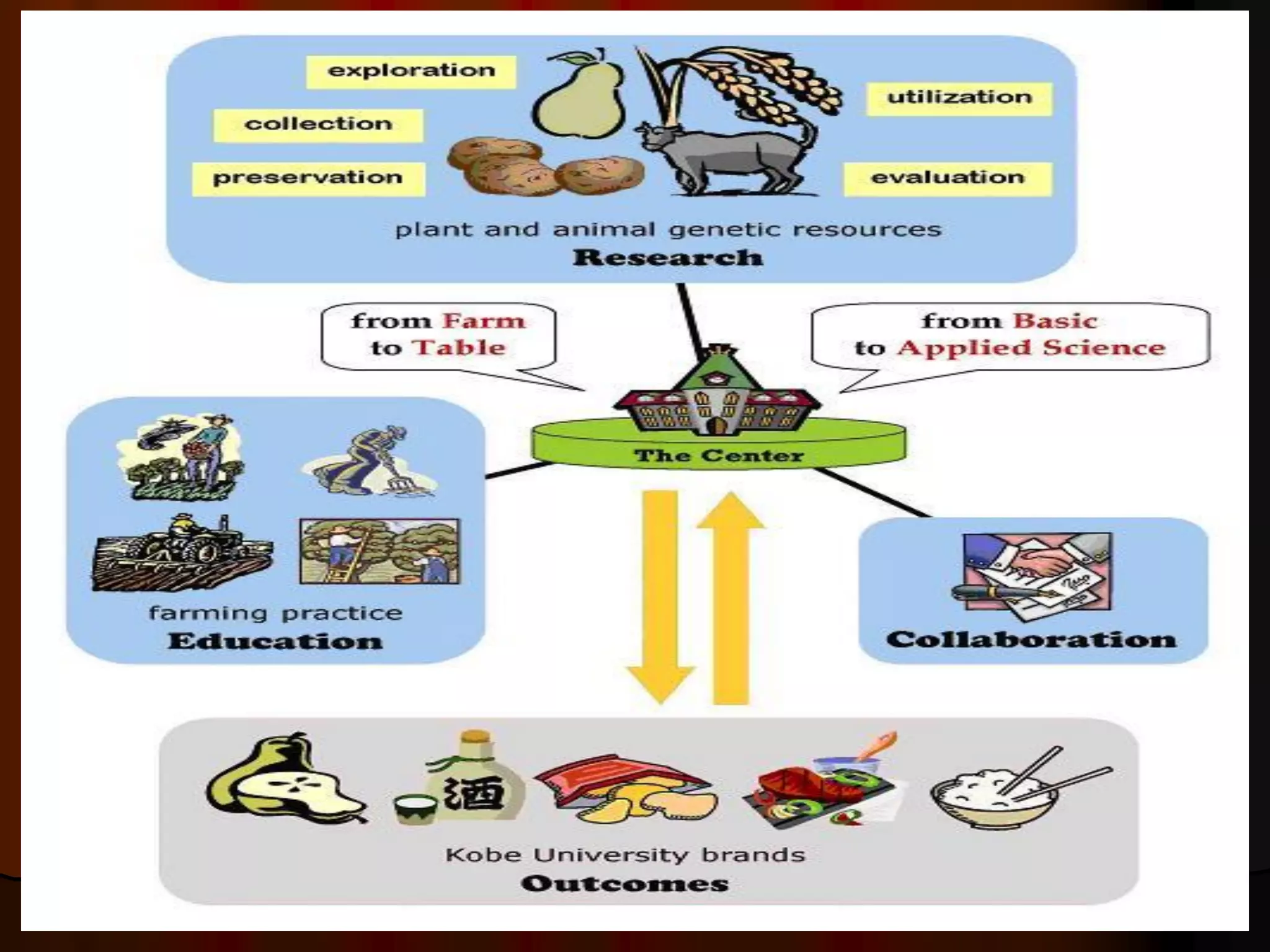 Organic watse management | PDF
