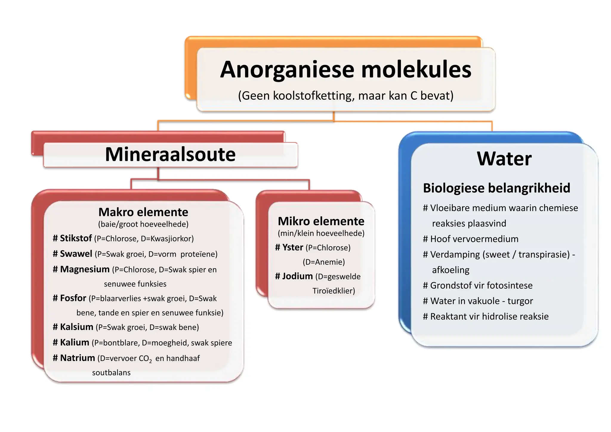 Organiese molecules and their functions. | DOCX