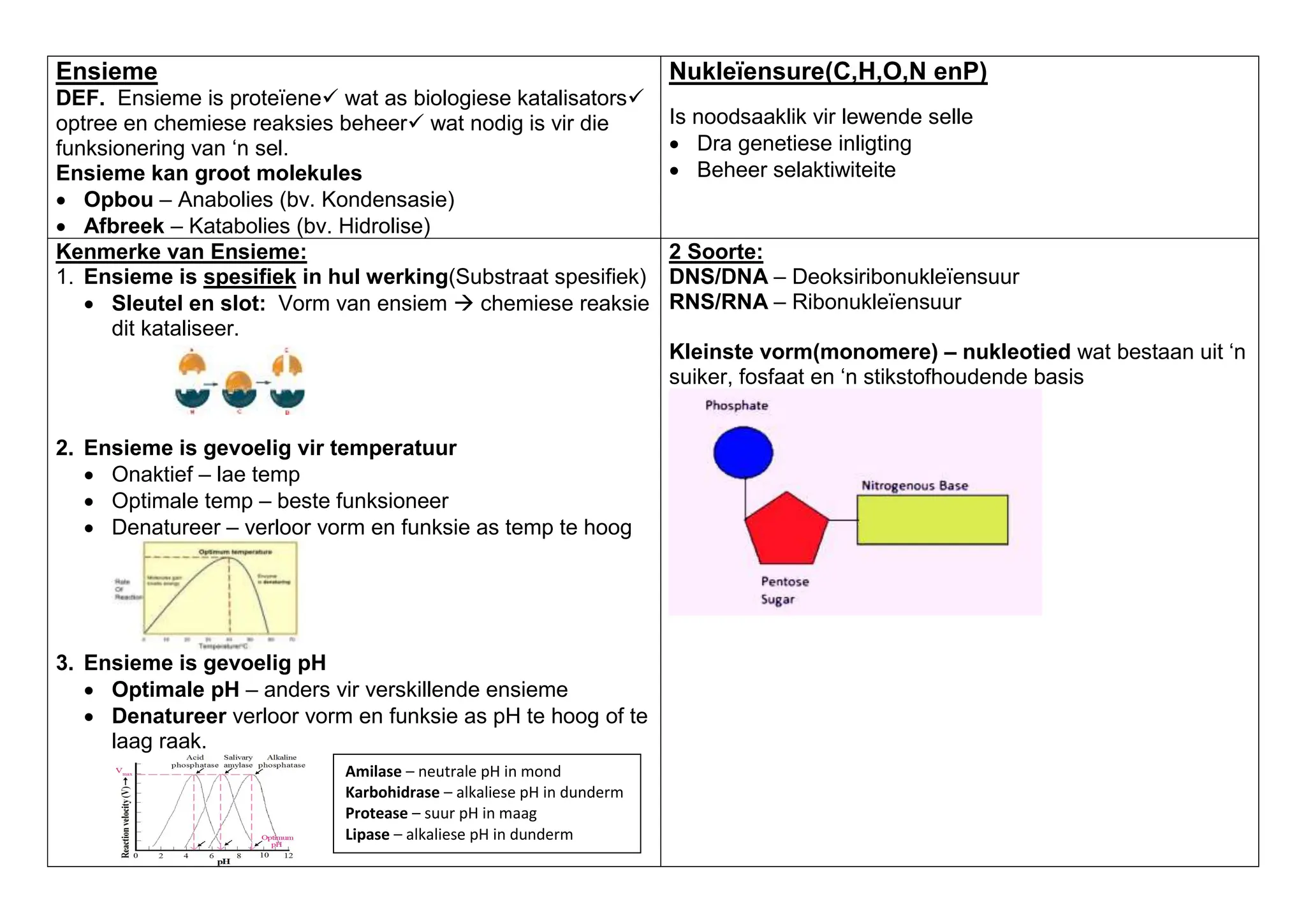 Organiese molecules and their functions. | DOCX